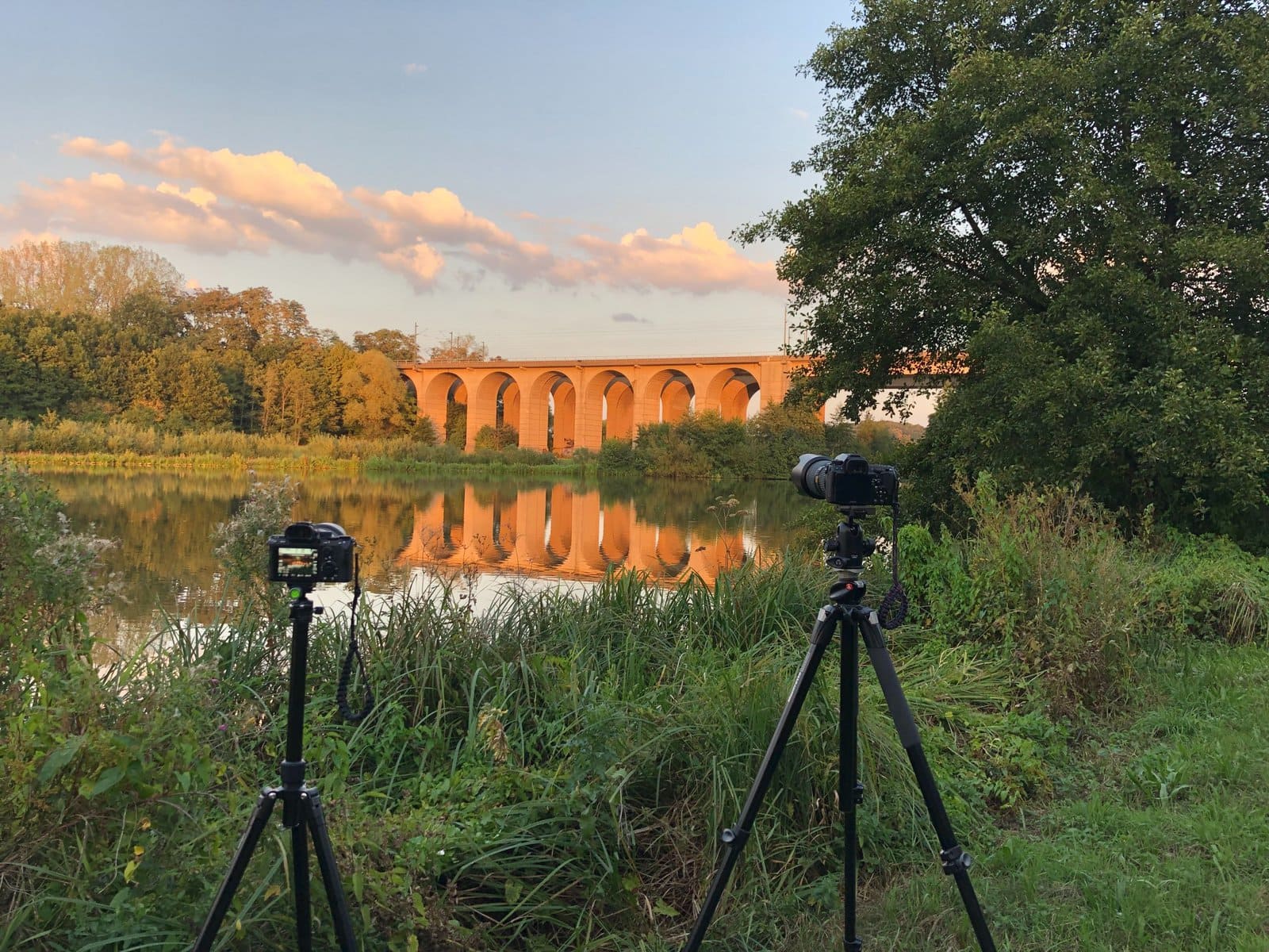? The 5 Best Camera for Safari to Add to Your Wishlist! [Updated 2020]