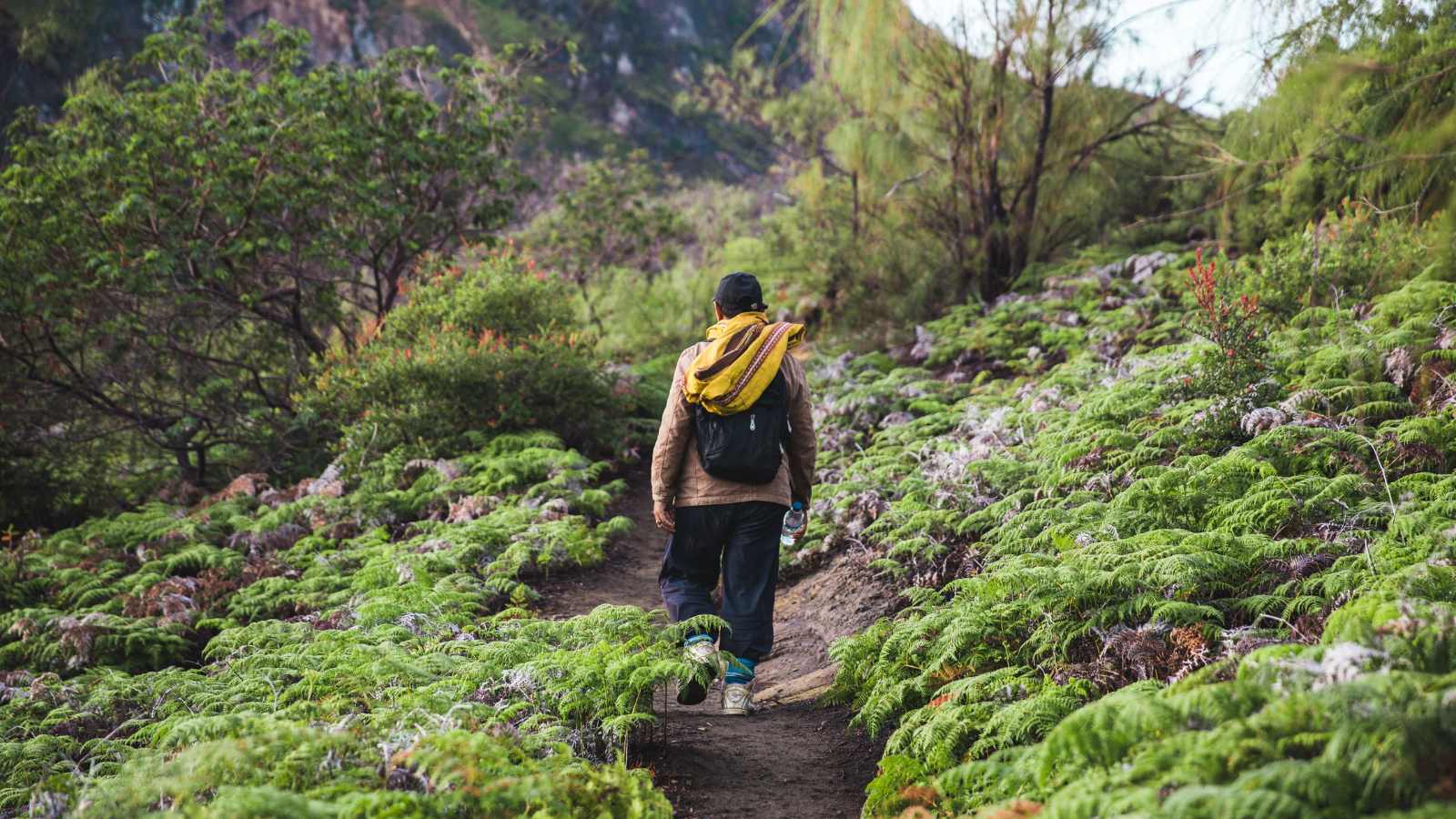 15 Fitness-Fueled Adventures to Experience Around the World - Africa ...