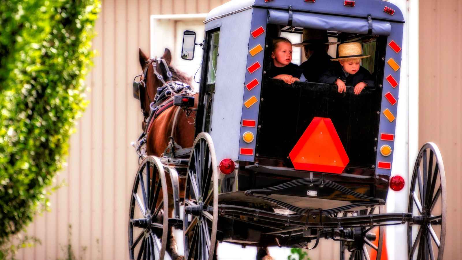 15 Must-Visit Amish Towns in Pennsylvania That Feel Frozen in Time ...