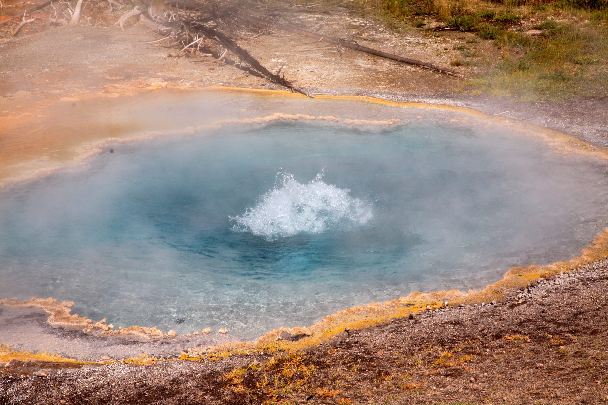 12 Geysers and Hot Springs in Yellowstone That Are Worth Seeing ...