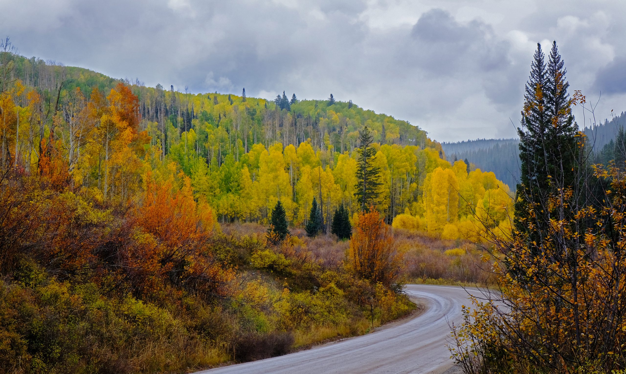 14 Scenic Drives in Colorado That Belong on Your Bucket List - Africa ...